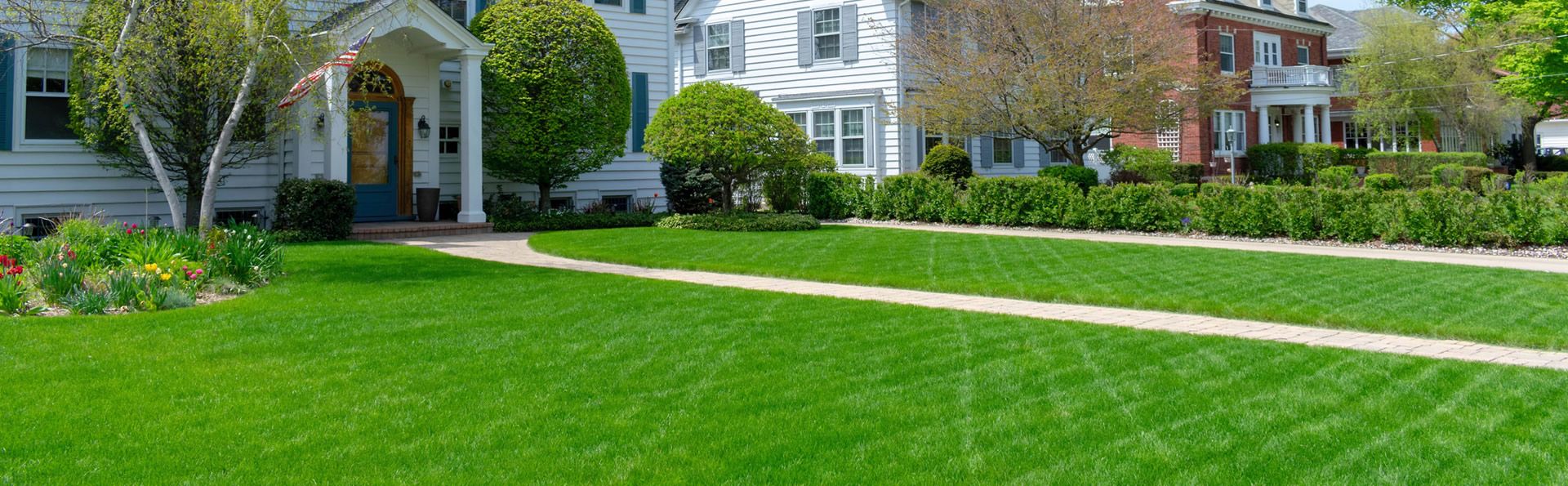 Beautiful home lawns from your local grass company | Seed on Earth ...